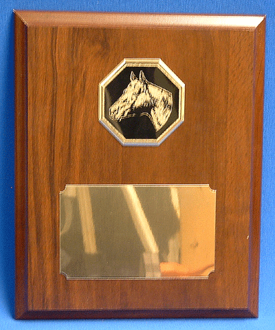 Custom Made Plaques For All Budgets